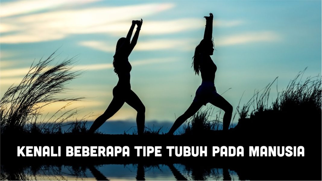 √ Kenali Beberapa Tipe Tubuh Pada Manusia