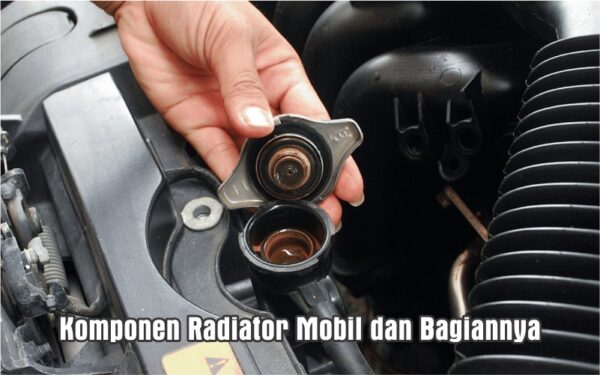 Home | aldhifajar.com